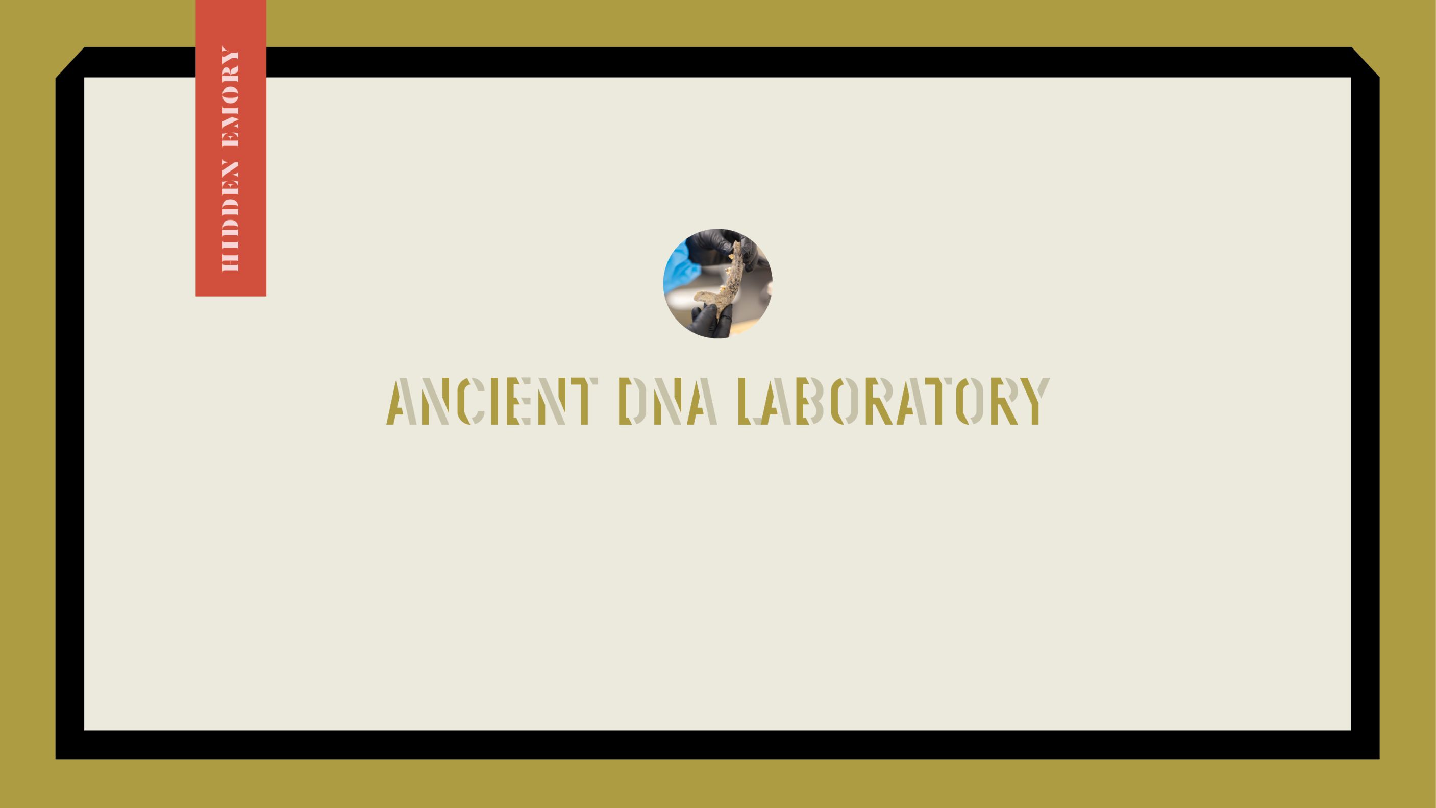 Hidden Emory Part Two